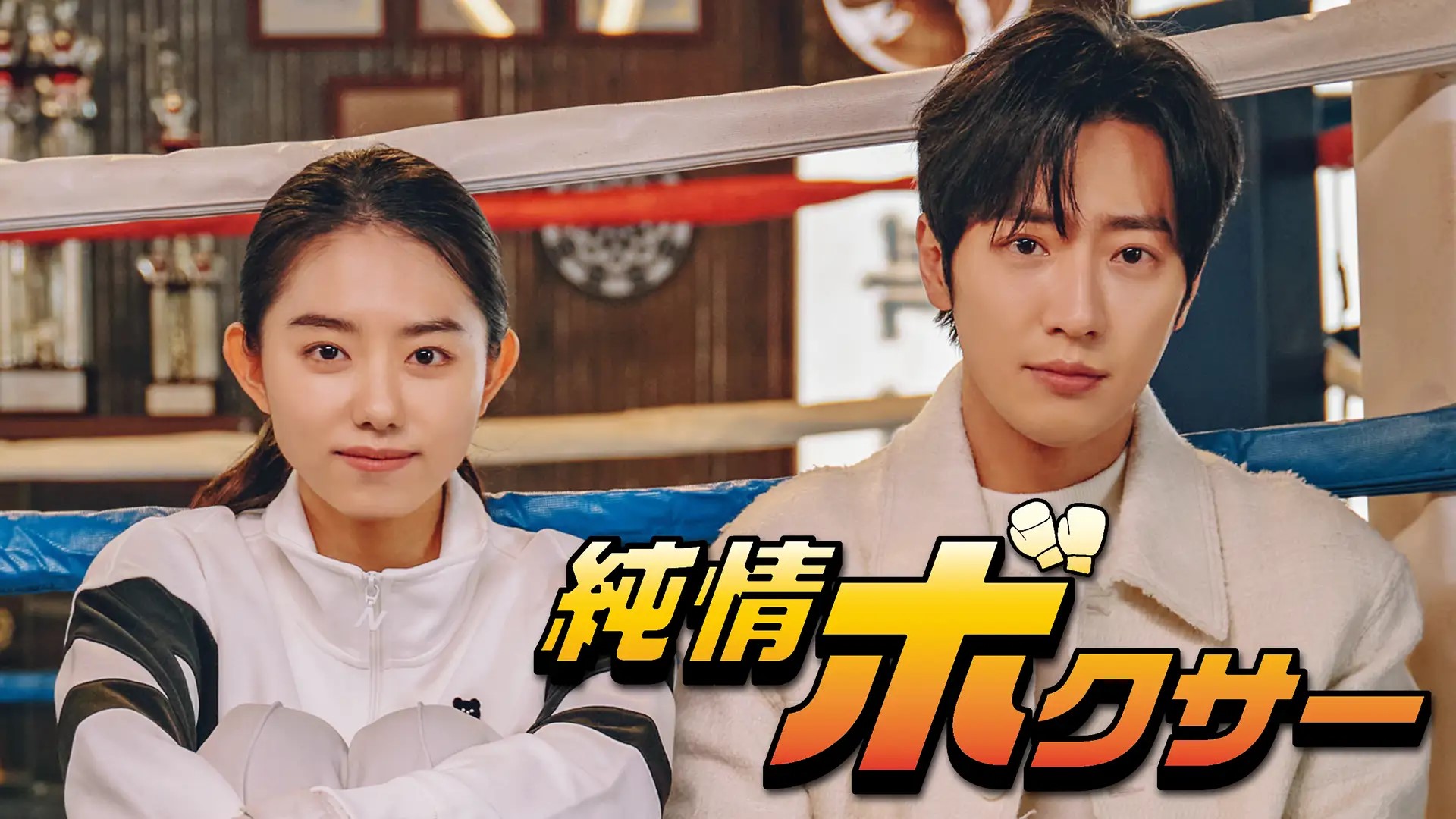 純情ボクサー | REVIEW | Kboard(Kボード)