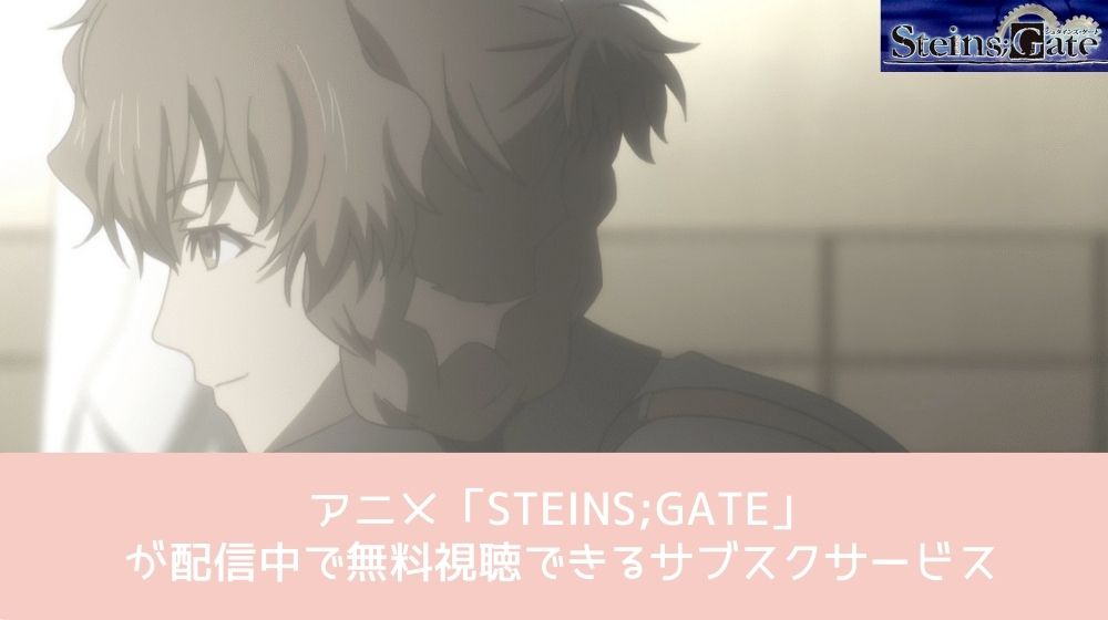 アニメ「STEINS;GATE」が配信中で全話無料で見れる動画配信サイトまとめ | 動画配信サイト比較ならVOD board